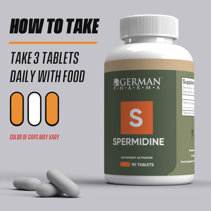 Spermidine Supplement - 60 Capsules - German Pharma – German Pharma ...